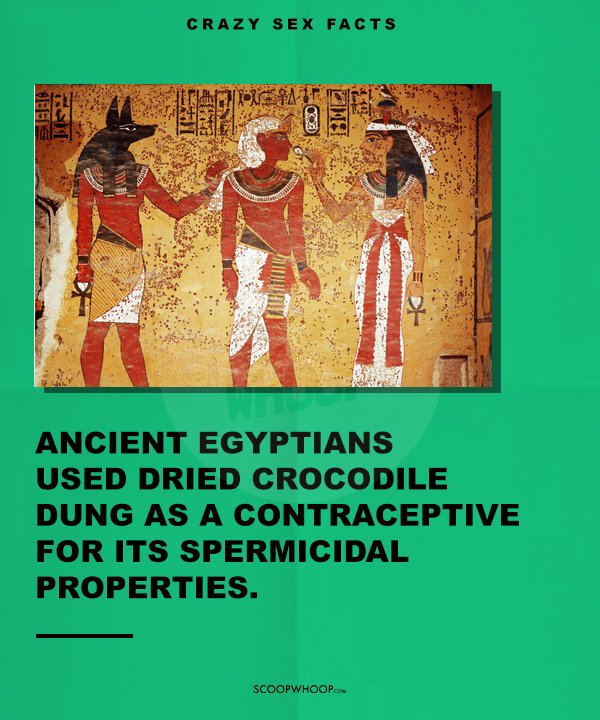 20 Fun Facts About Sex | 20 Inappropriate-Dirty Facts On Sex