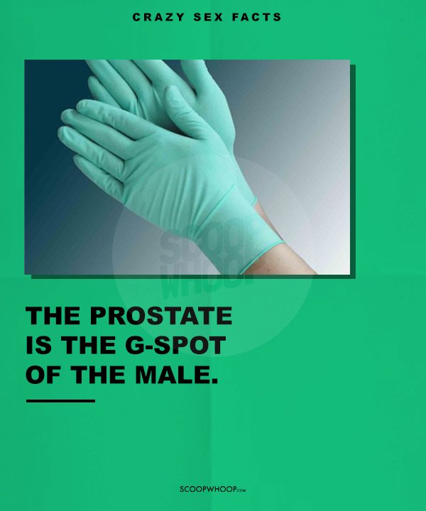 20 Fun Facts About Sex | 20 Inappropriate-Dirty Facts On Sex