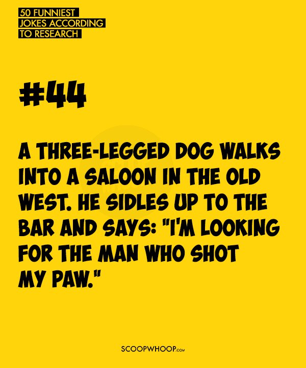 After Years Of Research, Scientists Have Come Up With The 50 Funniest ...