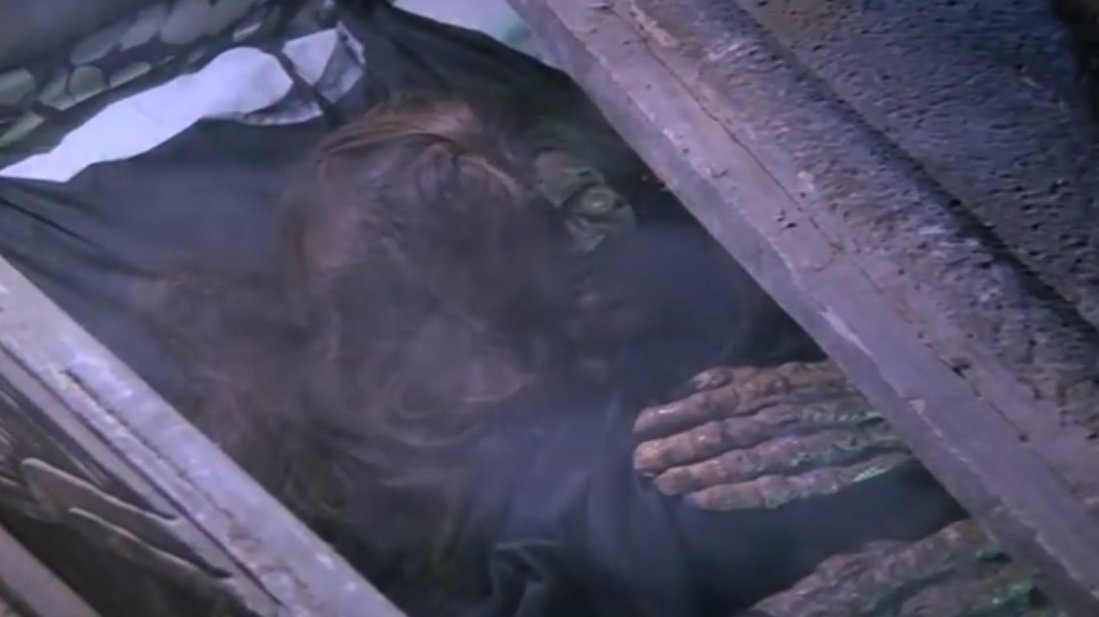 10 B-Grade Horror Movies To Watch When High | Horror Movies By The ...