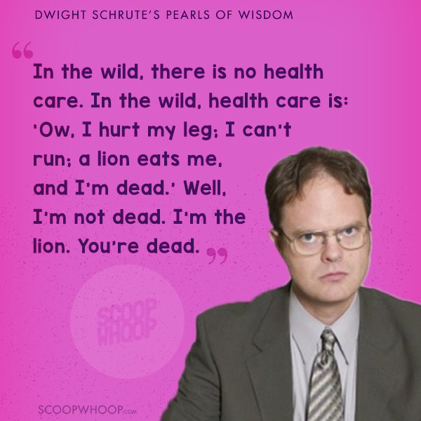 19 Quotes By Dwight Schrute From The Office That Prove You Don’t Have ...