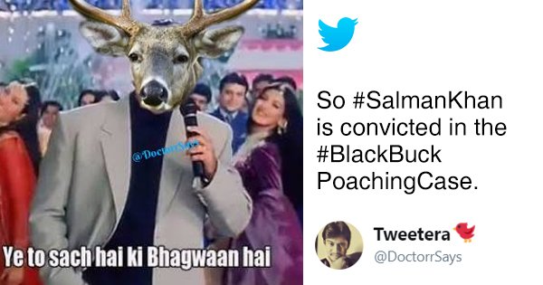 Salman Khan Gets Convicted In Blackbuck Poaching Case After 20 Years ...
