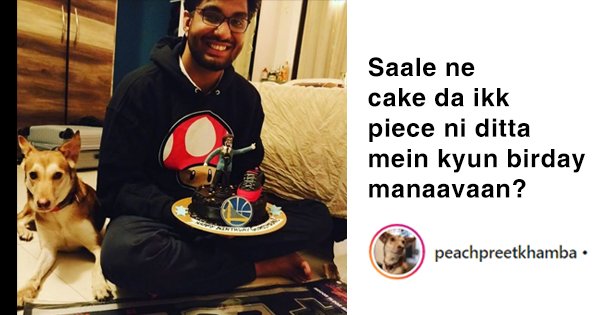 Meet Peachpreet Khamba, The Punjabi-Speaking Doggo Who’s Slaying ...