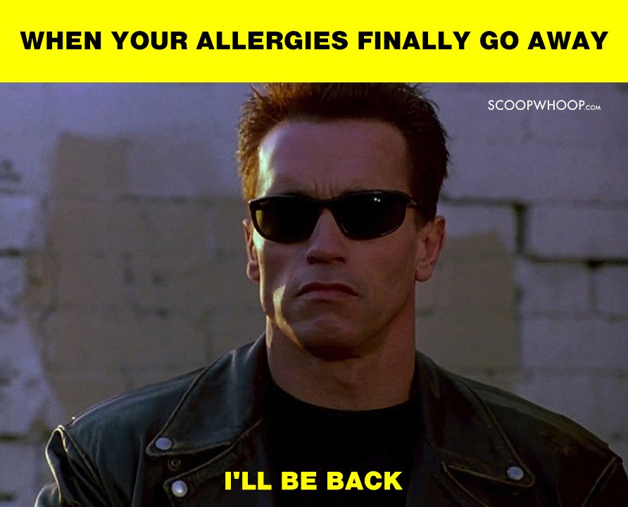 16 Relatable Memes About Allergies That’ll Make You Laugh Till You Sneeze
