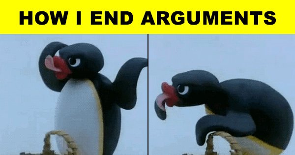 Pingu Memes