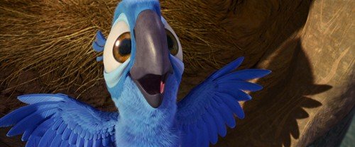 The Real-Life Blue Parrot From ‘Rio’ Is Now Officially Extinct In The Wild