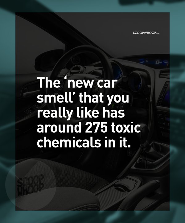 Inconvenient Facts & Stats About Cars That Will Make You Rethink Buying One