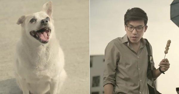 This Viral Ad Of A Dog Having His Hooman’s Back Will Hit You Right In ...