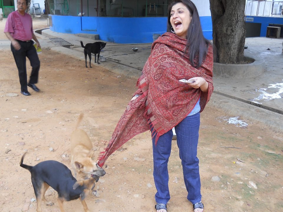 15 Animal NGOs in Your City To Volunteer With For The Love Of Animals