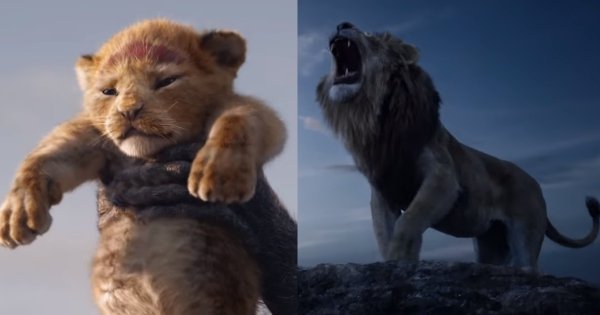 Disney’s Trailer For ‘The Lion King’ 2019 Has Transported Us Back In To ...