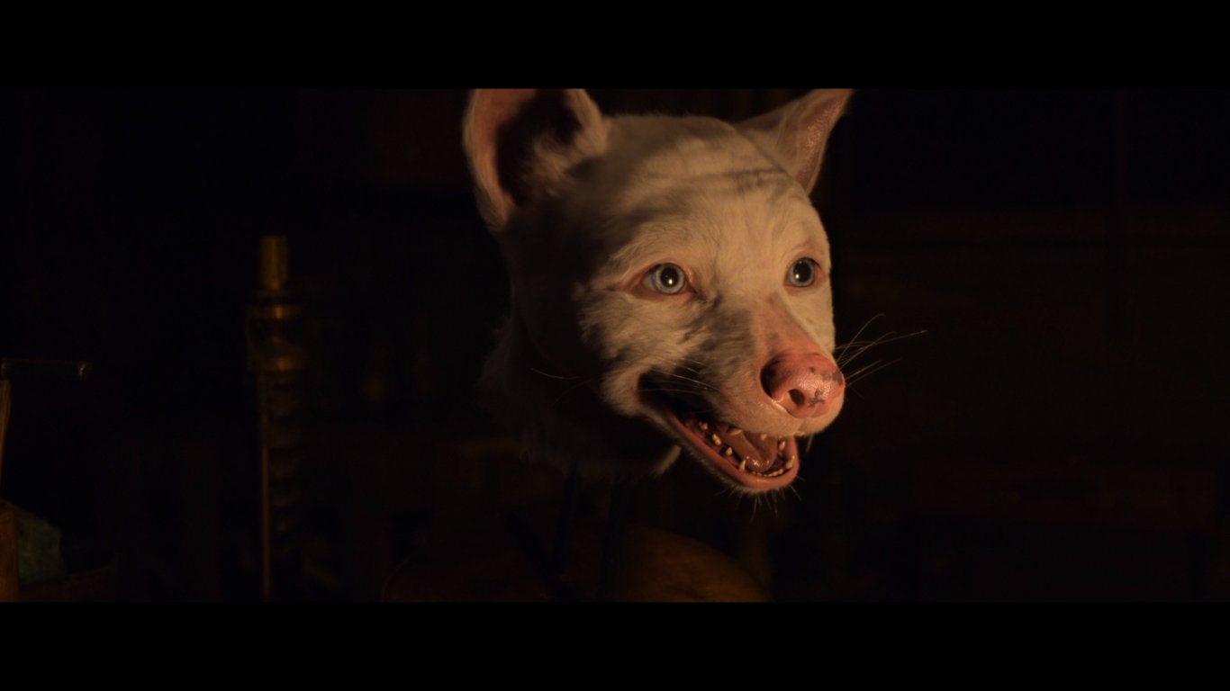 A Tribute To Bhoot, The Little White Wolf Cub In ‘Mowgli’ Who Stole Our ...
