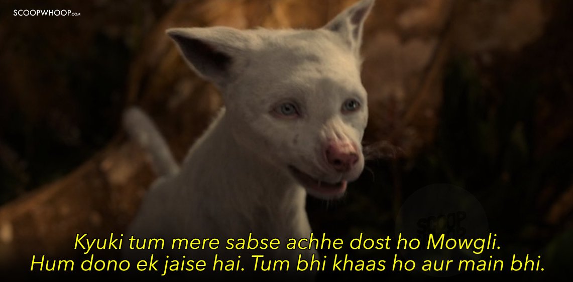 A Tribute To Bhoot, The Little White Wolf Cub In ‘Mowgli’ Who Stole Our ...