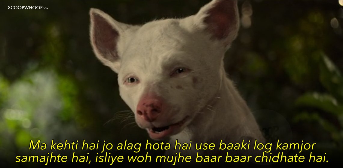 A Tribute To Bhoot, The Little White Wolf Cub In ‘Mowgli’ Who Stole Our ...