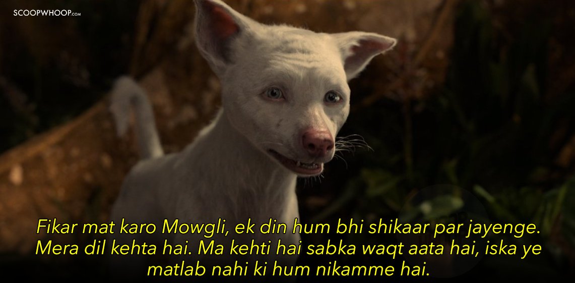 A Tribute To Bhoot, The Little White Wolf Cub In ‘Mowgli’ Who Stole Our ...