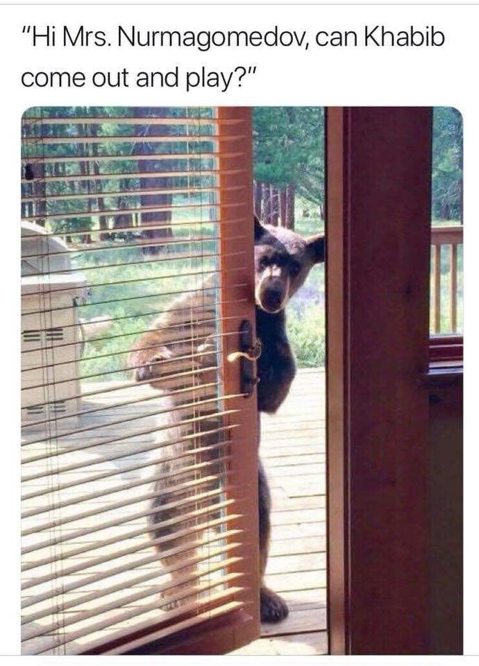 35 Memes From 2018 That Will Remind You That The Internet Doesn’t Let ...