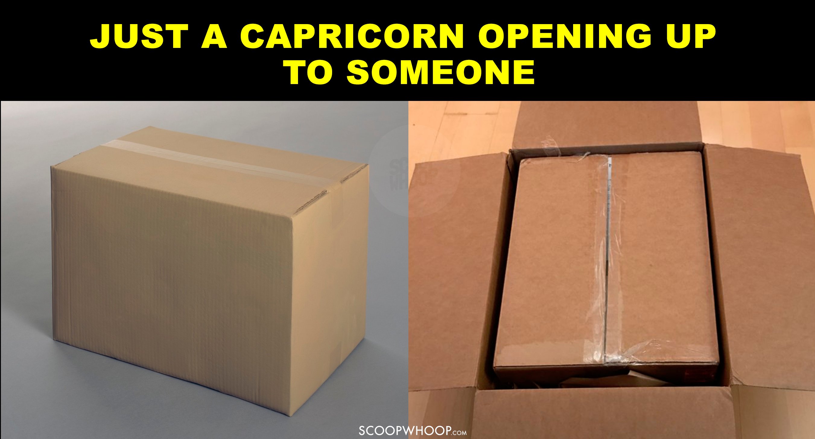 18 Capricorn Memes You Know You’ll Love, Cause You Know Everything ...