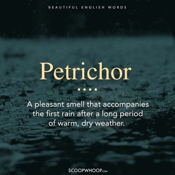 These 17 English Words Sound So Good, You’ll Want To Give Them A ...