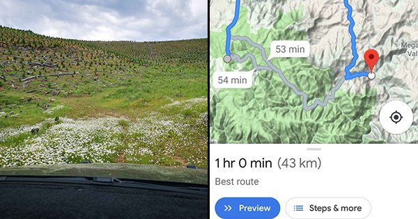 This Guy Took A Route Suggested By Google Maps To Save 15 Mins & Ended ...