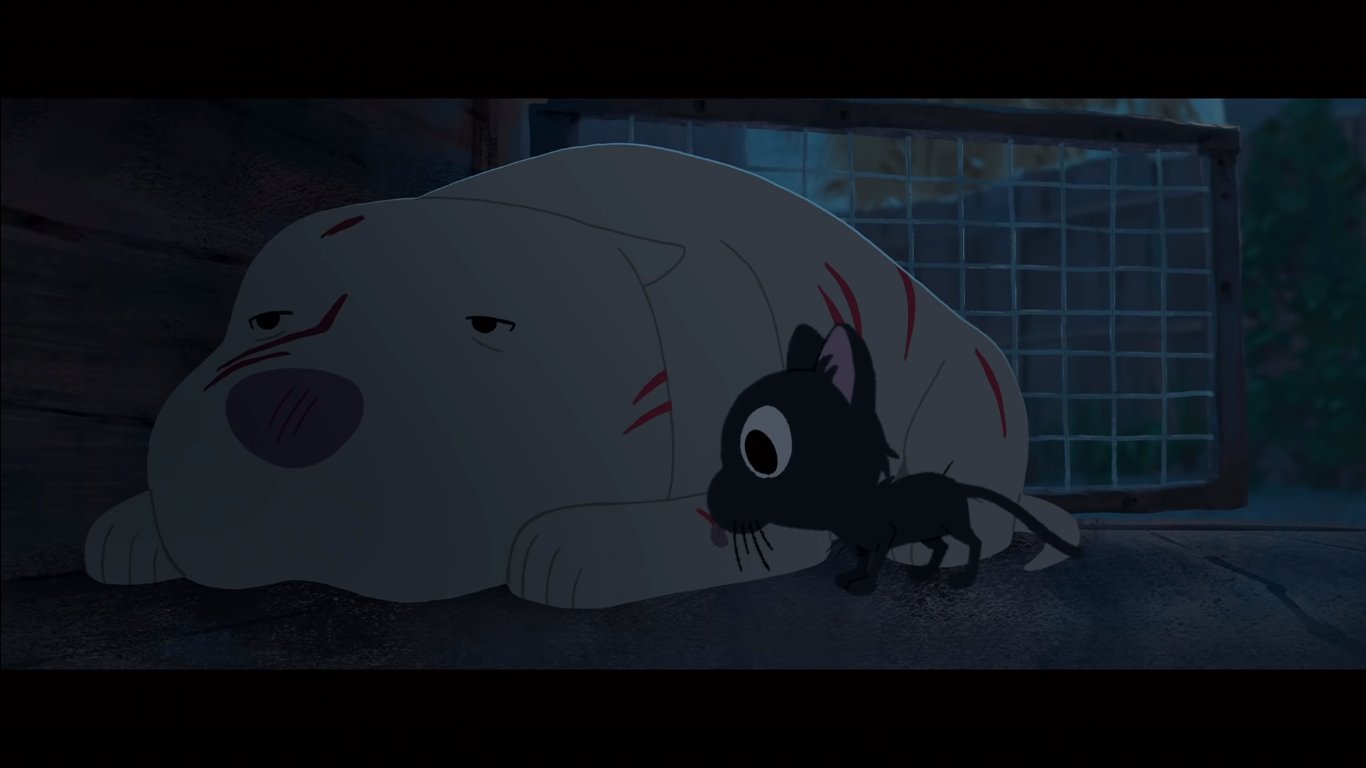 This Short Film About A Dog & Cat’s Unlikely Friendship Will Leave You ...