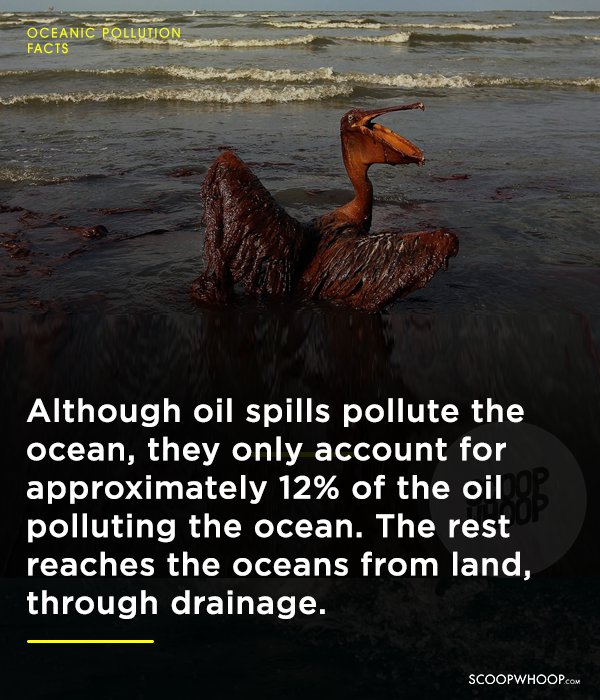 17 Horrifying Facts That Show How Humans Are Sucking The Life Out Of Oceans