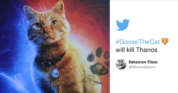 The Internet Is Loving Captain Marvel’s Cat, The Purrfect Addition To ...