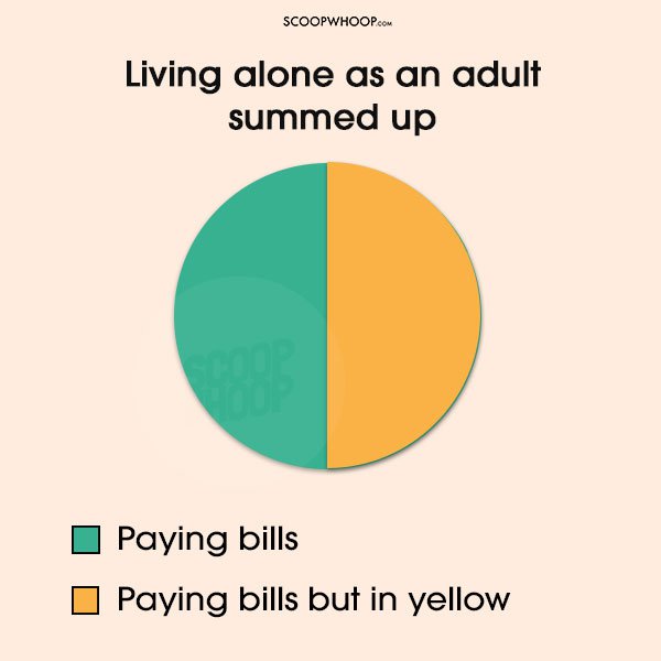 20 Pie Charts On Adulting So You Can Laugh At Your Failure Before ...