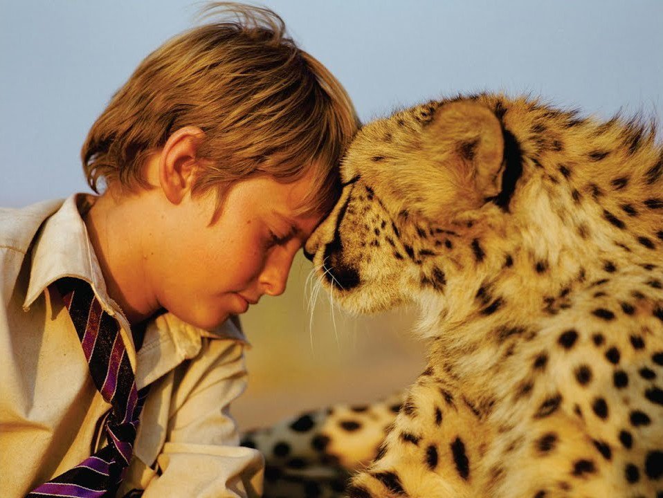 17 Movies To Watch If You’re Somebody Who Loves Animals More Than ...