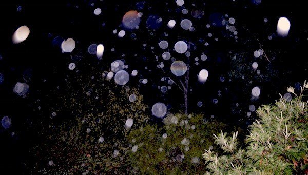 How to Know If a Ghost Is Near You Know the Signs of Spirits