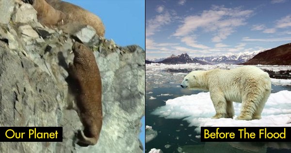 8 Documentaries On Climate Change That Are A Wake Up Call For Humanity