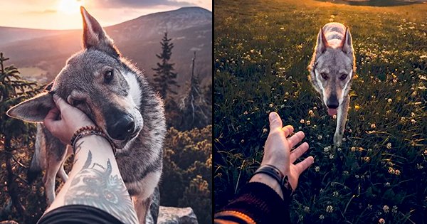 Hey Jon Snow, You Can Check This Instagram Account To Learn About How ...