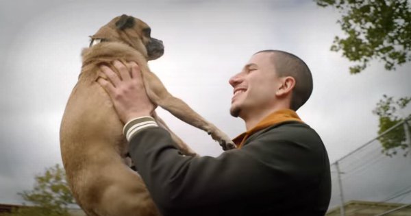 Netflix’s Pawsome New Series ‘It’s Bruno’ About A Man & His Doggo Is ...
