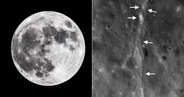 The Moon Is Apparently Shrinking Due To Recurring Moonquakes, Reveals A ...