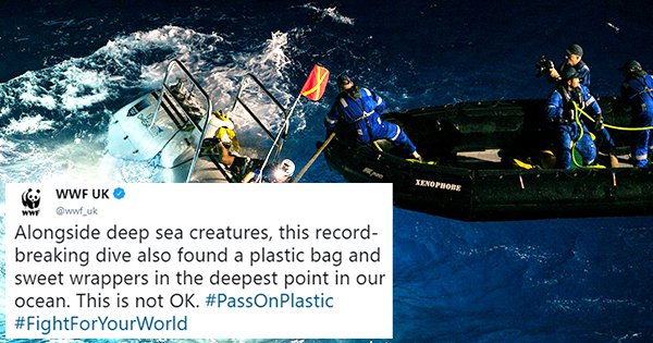 This Explorer Made The Deepest Dive Ever Into The Ocean & Found Trash ...
