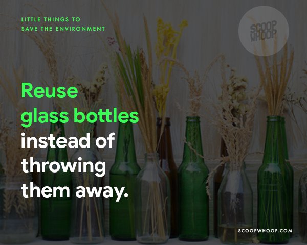 15 Little Things We Can Do To Save Our Environment & Make A Difference ...