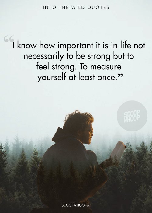 20 ‘Into The Wild’ Quotes That Teach Us That Life Is The Only True ...