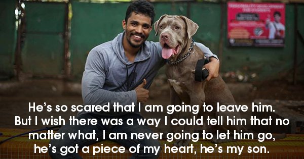 In Sickness & In Health: This Post About The Love Between A Dog & His ...