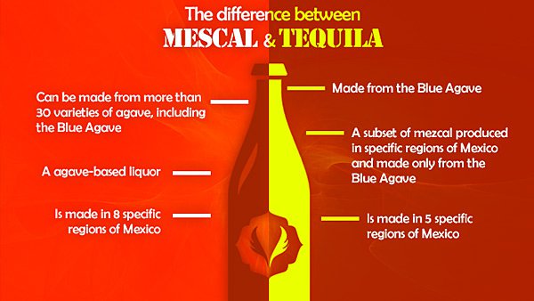 15 Awesome Facts About Tequila That You Probably Didn't Know About