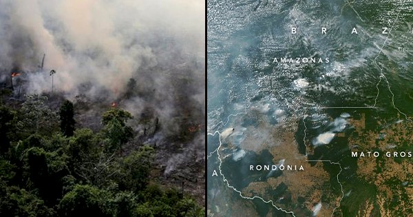 The Amazon Is on Fire and the Smoke Can Be Seen from Space