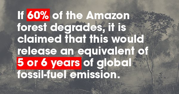 The forest has been on fire for over 3 weeks now and has caused more ...