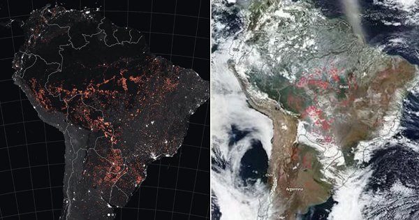 Latest Satellite Images From NASA Show The Extent of Raging Amazon Fires