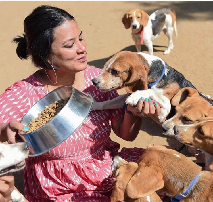 21 Beagles Are Up For Adoption After Being Released From A Testing Lab