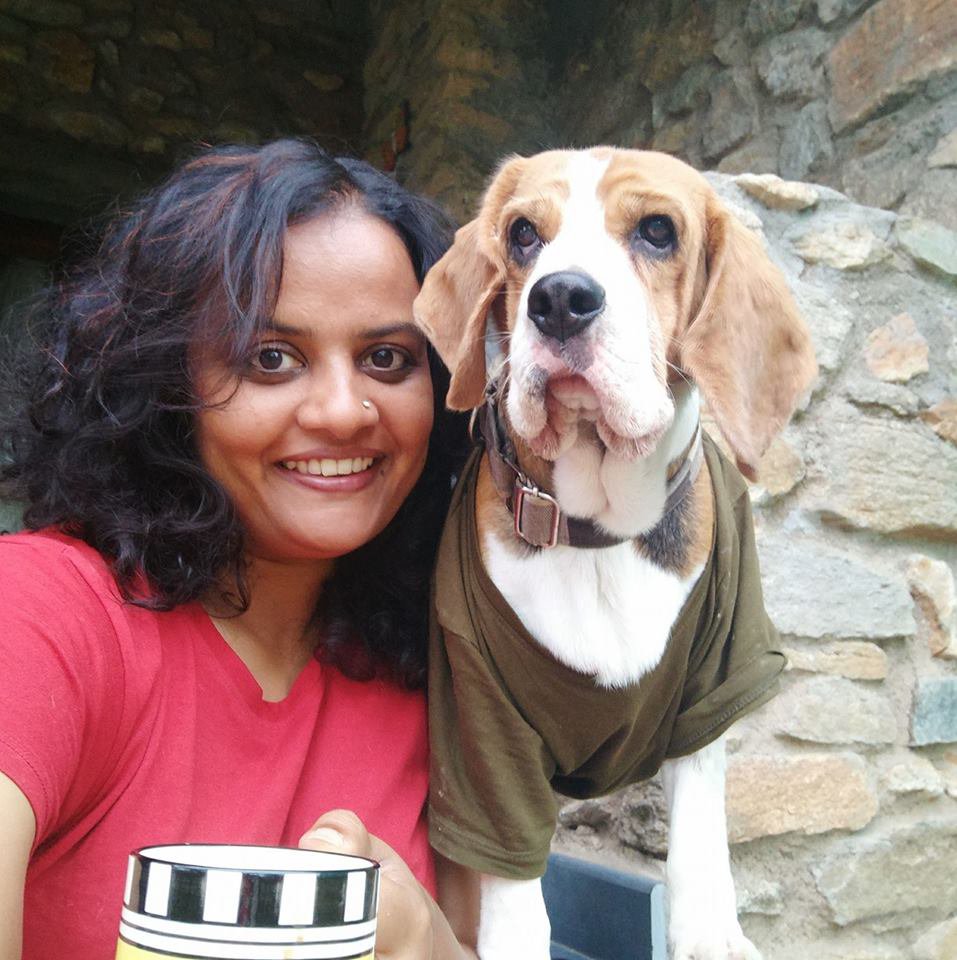 21 Beagles Are Up For Adoption After Being Released From A Testing Lab