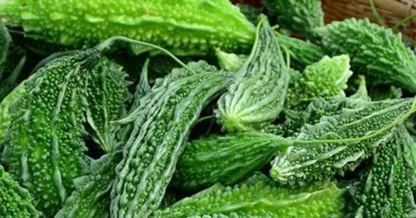 An Ode To Karela, The Forever Misunderstood Vegetable, You Are Loved