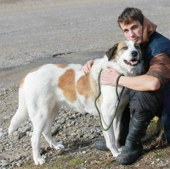 This Dog's Transformation Story Proves That Love & Care Can Truly ...