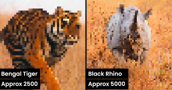 These Pics Of Animals Contain As Many Pixels As There Are Members Of ...