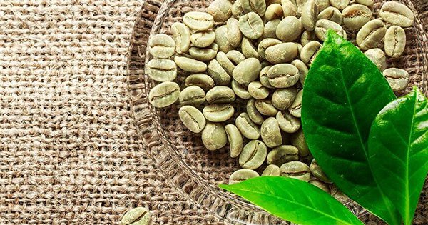 5 Reasons Why You Must Try Green Coffee This International Coffee Day