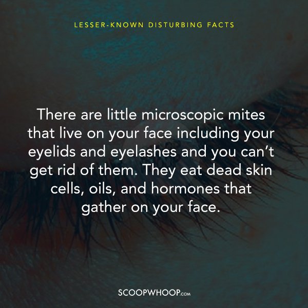 11 Lesser-Known Unsettling Facts That Will Make You Feel Increasingly ...