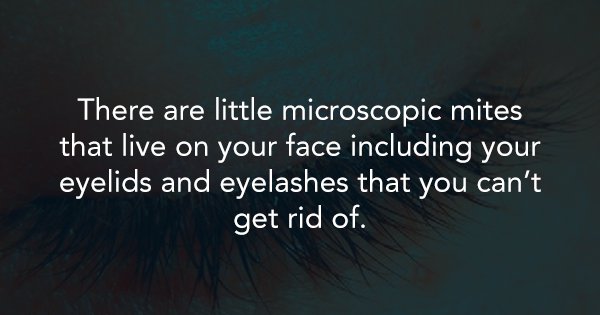 11 Lesser-Known Unsettling Facts That Will Make You Feel Increasingly ...