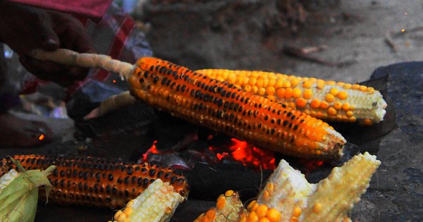 Bhuttas Are The Best Thing About Winters
