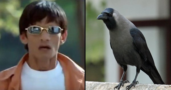 Kauwa Biryani Real Life, 2 Have Been Arrested In Tamil Nadu For Selling ...